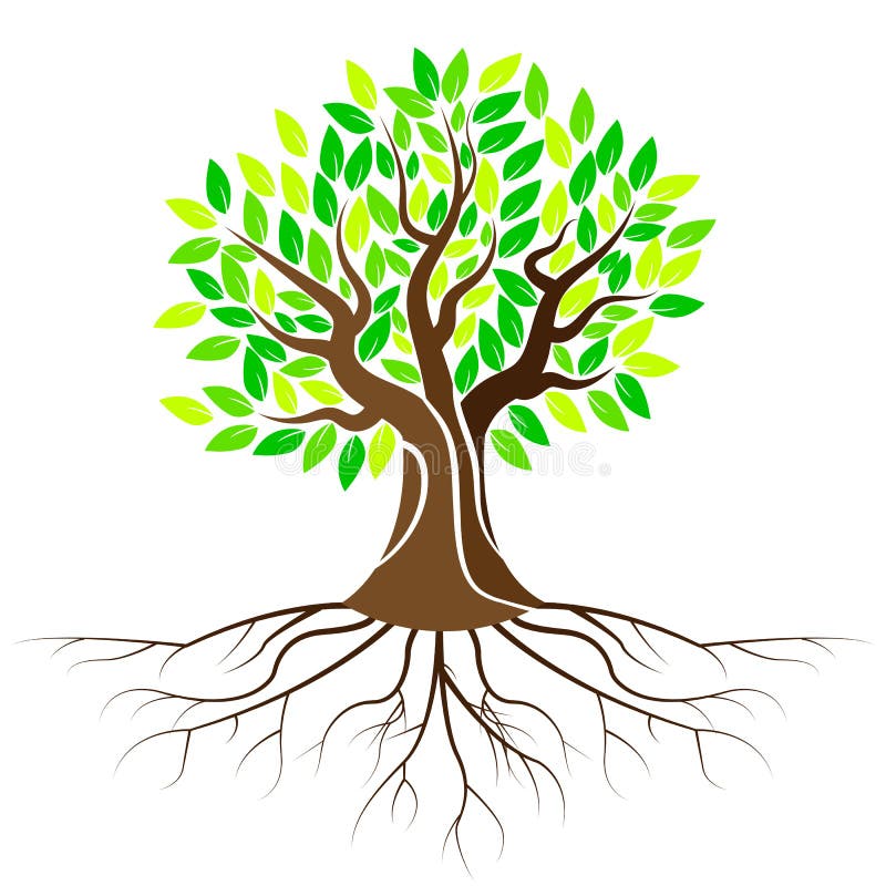 Tree With Roots Clip Art Free