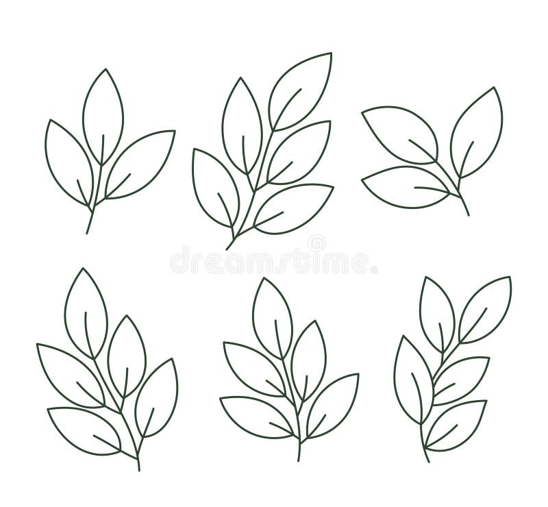 Leafy Branch - Editable Line Art Vector Stock Vector - Illustration of ...