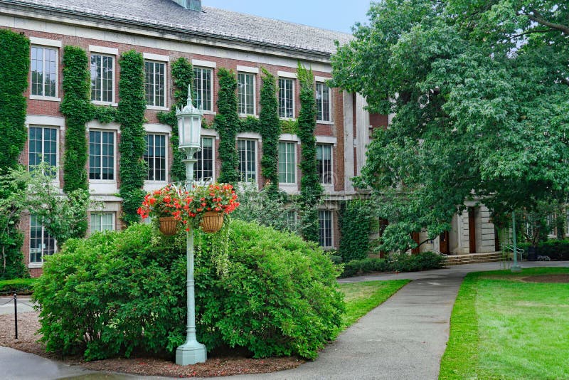 College Campus with Ivy Covered Building Stock Photo - Image of covered ...