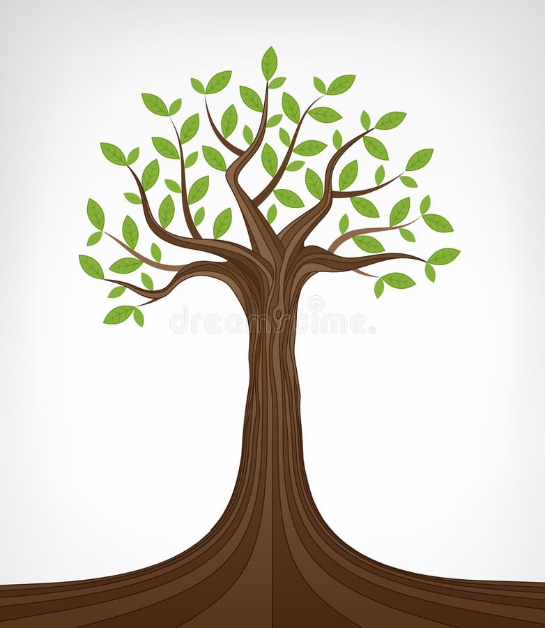 Leafy Green Ash Tree Conceptual Art Isolated Stock Vector ...