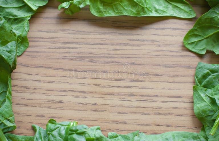 Leafy Green Spinach Border stock image. Image of blank - 24643639