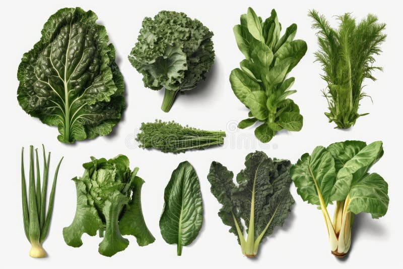 Leafy Green Vegetables, High Resolution. Isolate on White Background ...