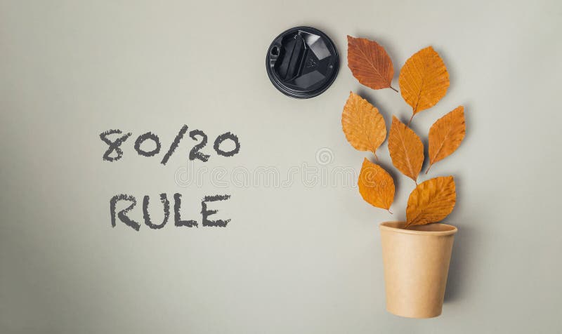 Leafy Plant is in a Paper Cup Stock Image - Image of white, note: 381779347