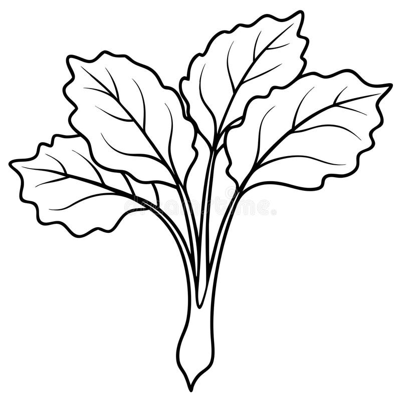A Leafy Rhubarb Vegetable with a Stem Stock Image - Illustration of ...