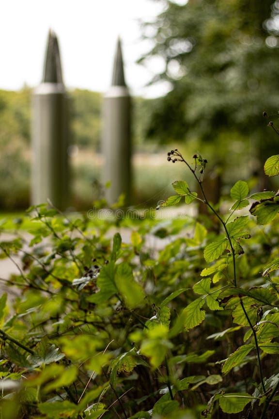 Leafy Shrubs in Summer Park Stock Photo - Image of foliage, vertical ...