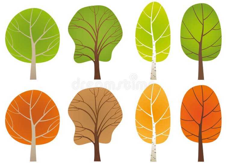 Broadleaved Trees Stock Illustrations – 46 Broadleaved Trees Stock ...