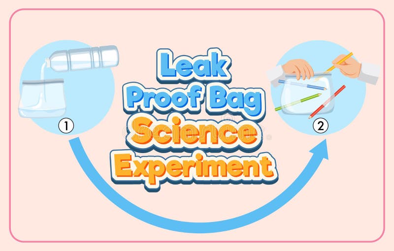 Leak Proof Bag Science Experiment Stock Vector - Illustration of ...
