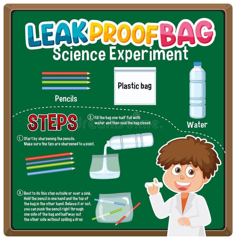 Leak Proof Bag Science Experiment Stock Vector - Illustration of ...