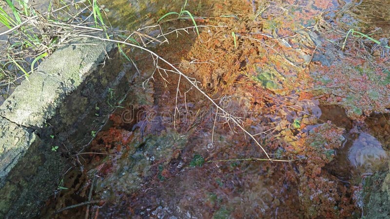 Leakage Water from the Ground Turned Murky when Mixed with the Drainage ...