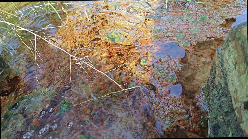 Leakage Water from the Ground Turned Murky when Mixed with the Drainage ...