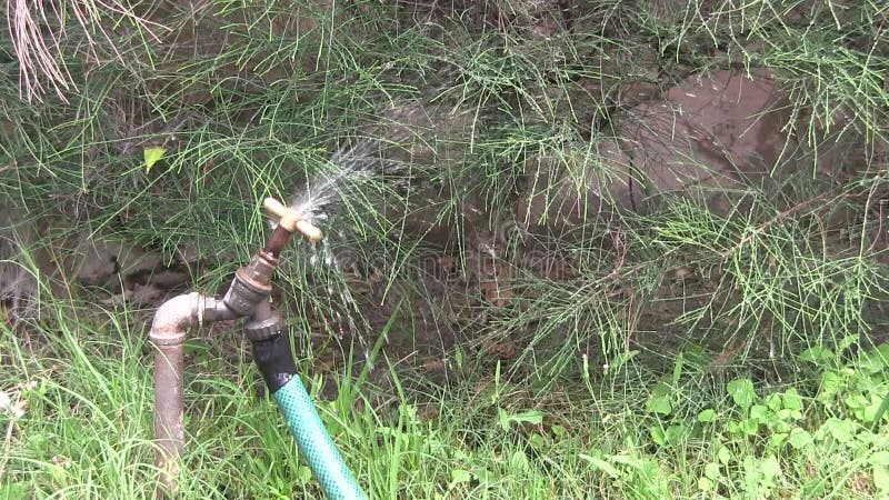 Perished Hose Pipe with Water Spurting from a Hole. Stock Footage ...