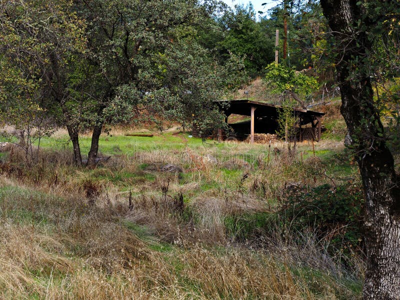 1,478 Wooded Tree Canopy Stock Photos - Free & Royalty-Free Stock ...