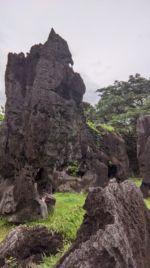 Leang leang park stock photo. Image of ridge, rock, tree - 352643860