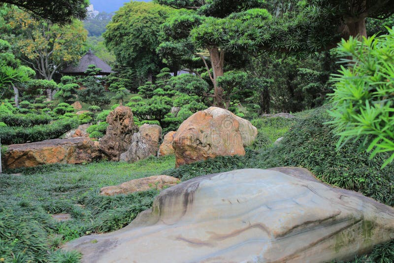 Leaning Bonsai Tree, Chi Lin Nunnery, Hong Kong Stock Image - Image of ... Leaning Bonsai Tree, Chi Lin Nunnery, Hong Kong Stock Image - Image of ...
