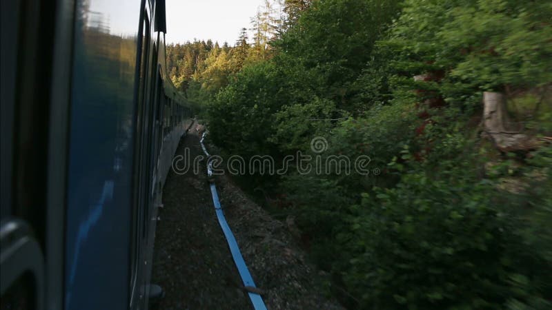Leaning Out of Train Window, Looking at Turning Train, Forward Stock ...