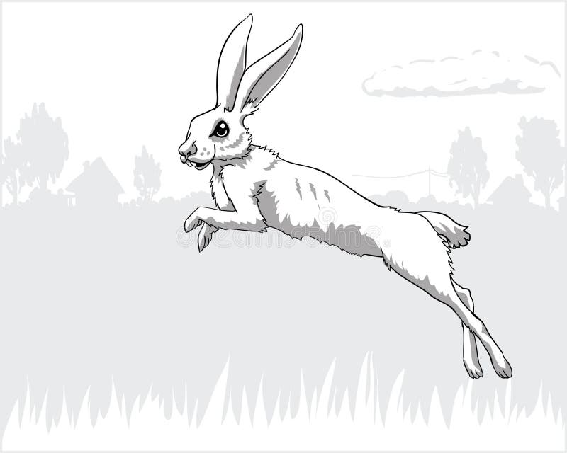 Jumping Hare Stock Illustrations – 1,293 Jumping Hare Stock ...