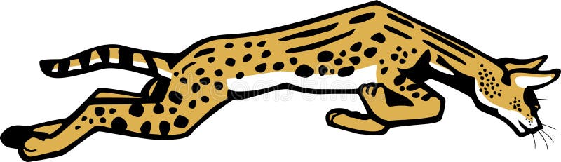 Leaping Serval stock vector. Illustration of mammal, wildlife - 66439481