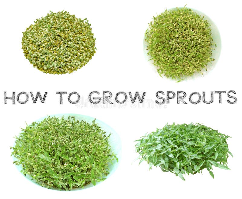 285 How To Draw Step Stock Photos - Free & Royalty-Free Stock Photos ...