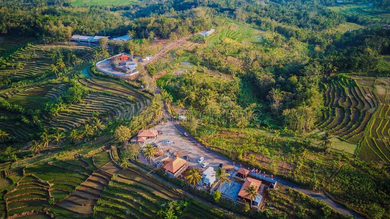 Learn from Nature because Nature Can Provide Invaluable Learning and ...