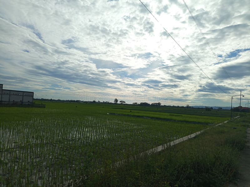 Learn from Nature because Nature Can Provide Invaluable Learning and ...