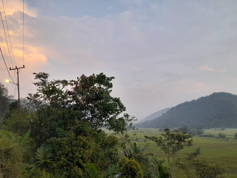 Learn from Nature because Nature Can Provide Invaluable Learning and ...