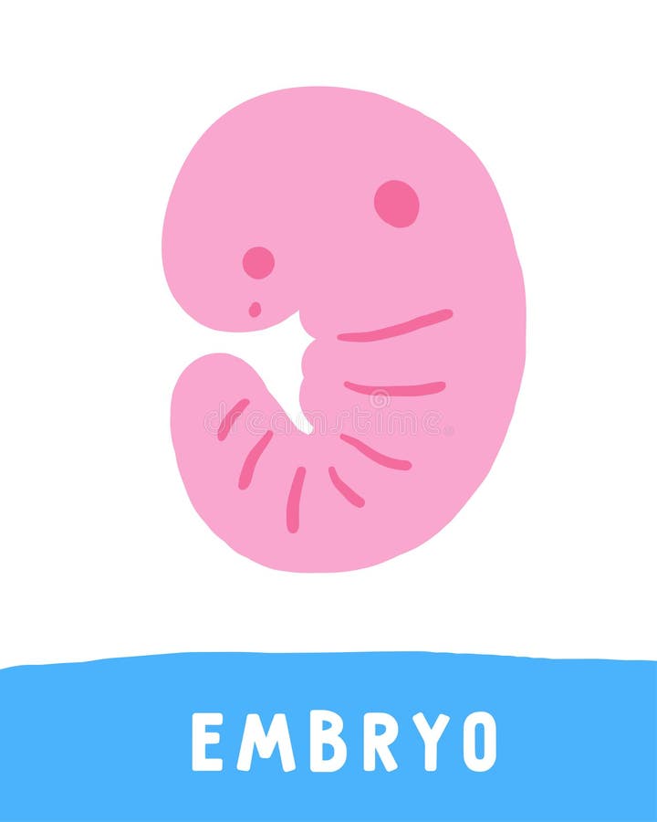 Science Flashcard Stock Illustrations – 231 Science Flashcard Stock ...