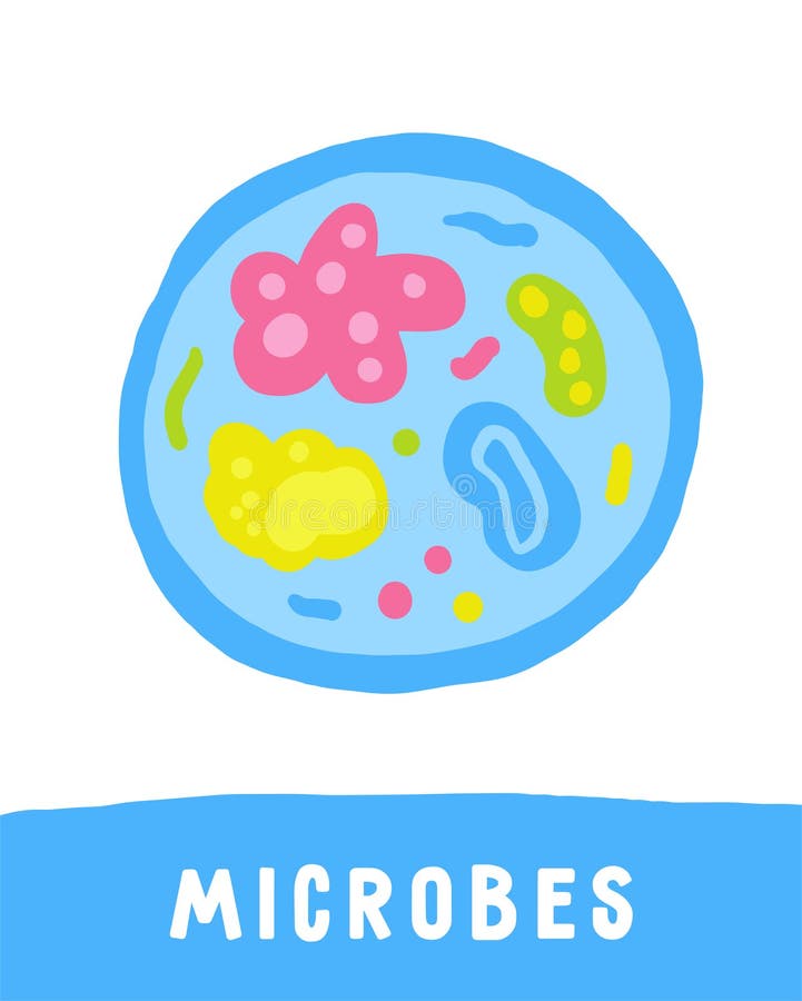 Learn Science Objects Flashcard for Kids Stock Vector - Illustration of ...