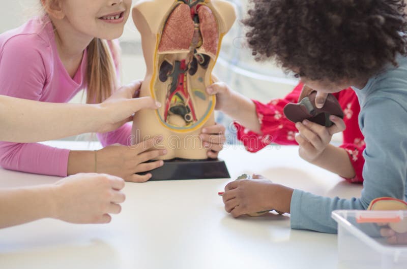 Learn something new stock photo. Image of ethnicity - 150218106