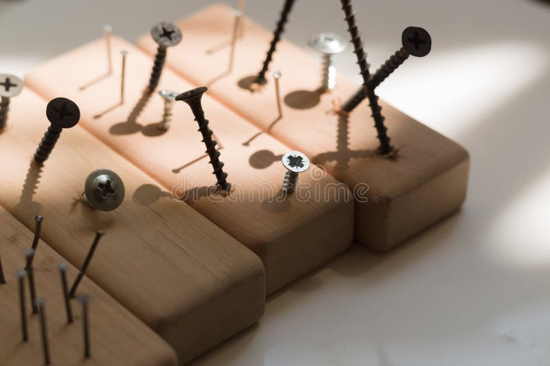 Learn the Work with a Screwdriver. Teaching To Use Tools. Conceptual ...