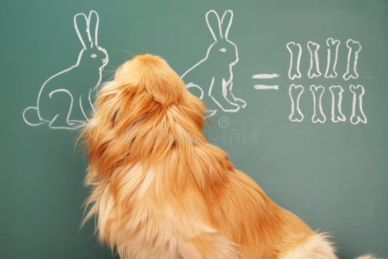 Learner stock photo. Image of erudite, clever, error - 61191398 Learner stock photo. Image of erudite, clever, error - 61191398