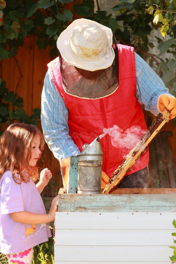 Learning from the bees stock photo. Image of honeycomb - 15746822
