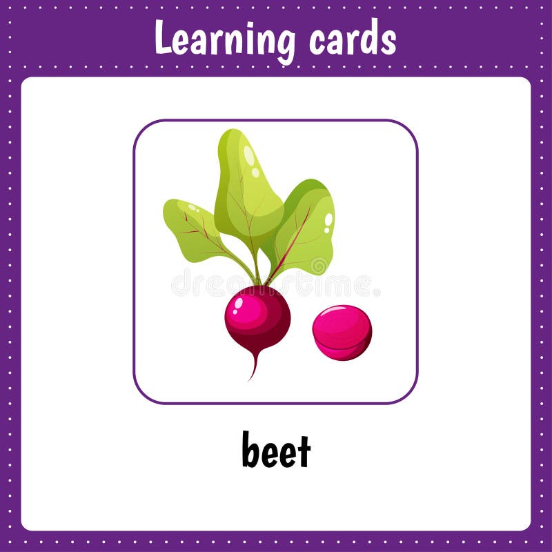 Learning Cards for Kids. Beet Stock Vector - Illustration of education ...