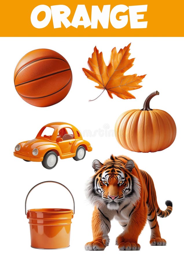 Learning Colors for Children. Card with Orange Colored Realistic ...