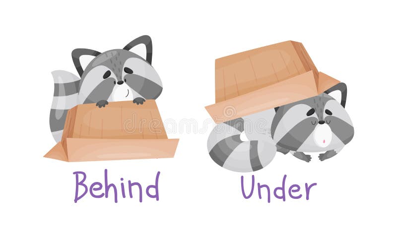 Learning English Preposition Set. Cute Cat Behind and Under the Box ...