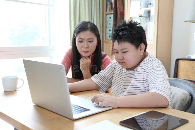 Learning at Home stock photo. Image of home, lifestyle - 254496164