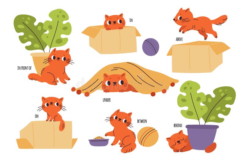 Cat Prepositions Stock Illustrations – 44 Cat Prepositions Stock ...