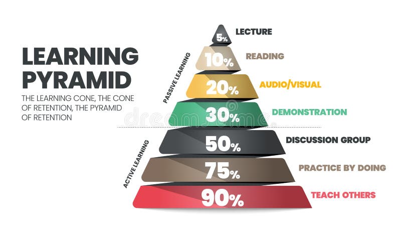The Learning Pyramid Infographic Vector Refers To the Cone or Rectangle ...