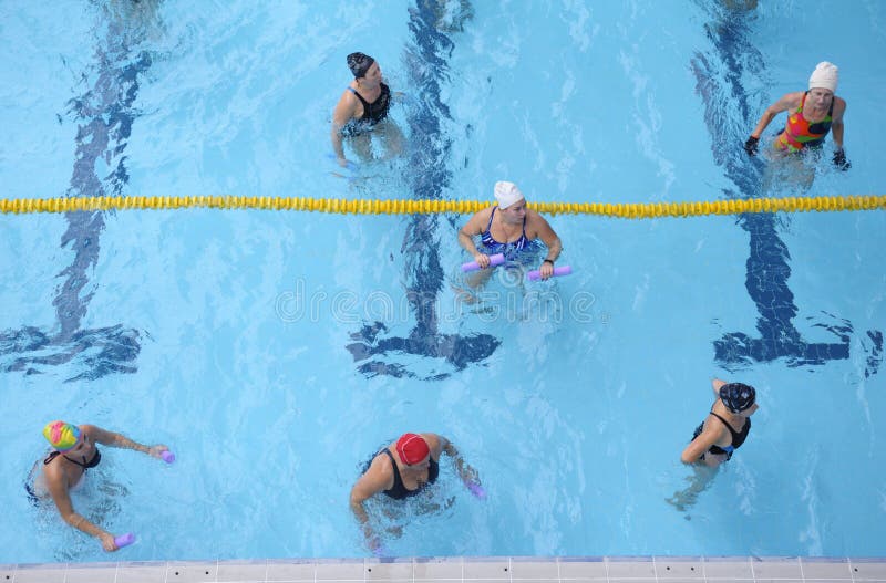 Learning Swimming: Group of Women in Bathing Suits Standing on Paths of ...