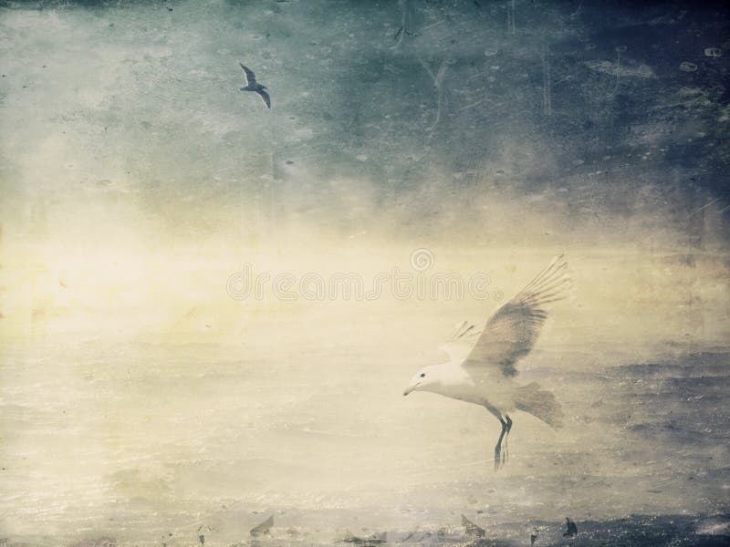 Learning to Fly stock image. Image of birds, water, dream - 48679933
