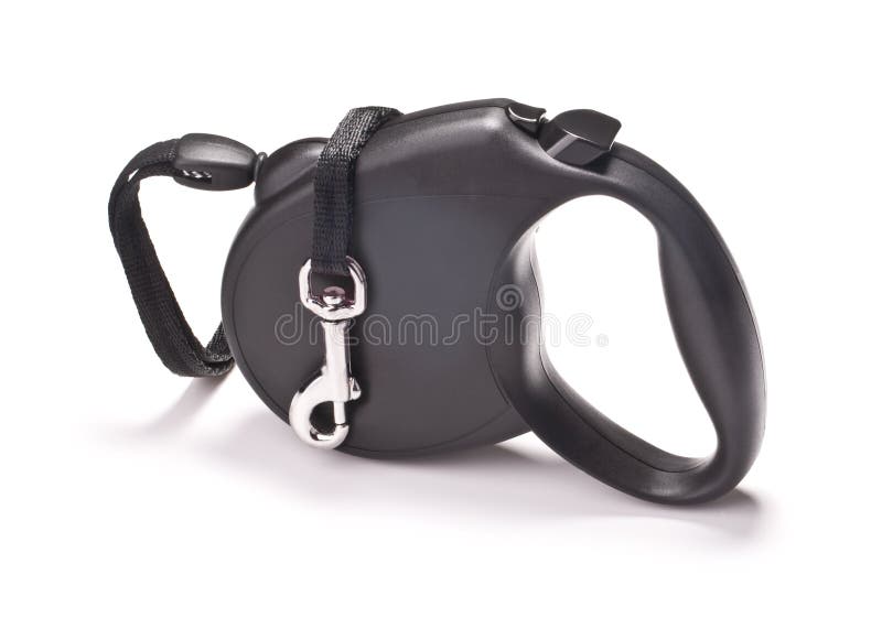 Leash for dogs stock photo. Image of accessories, animal - 30249982