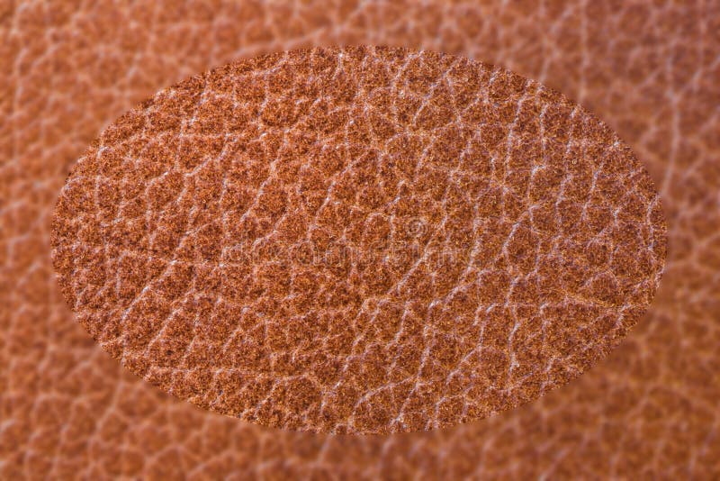 Leather stock photo. Image of grained, buff, pattern - 22831238