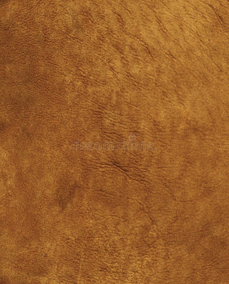369 Buff Leather Texture Background Stock Photos - Free & Royalty-Free ...
