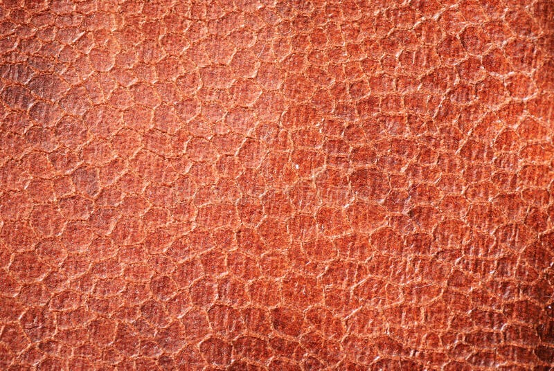 Leather Abstract Background with Texture Stock Photo - Image of skin ...