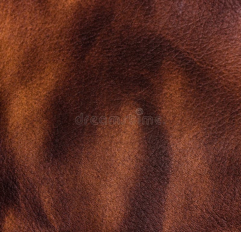 Leather texture background stock photo. Image of vintage - 50366206