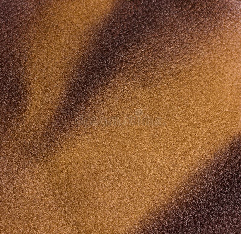 Leather Background stock photo. Image of abstract, leathery - 13400660