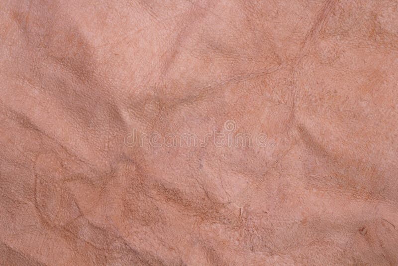 Leather stock image. Image of durable, close, background - 43947487