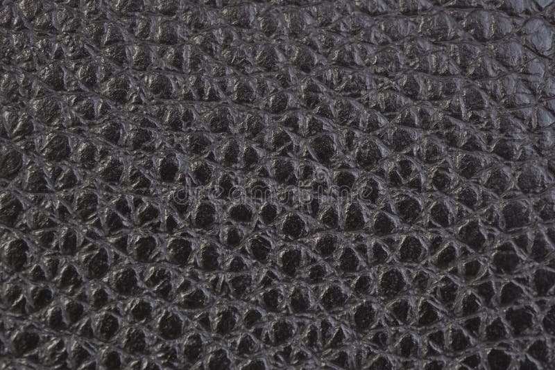 Bumpy leather texture stock image. Image of background - 6459719