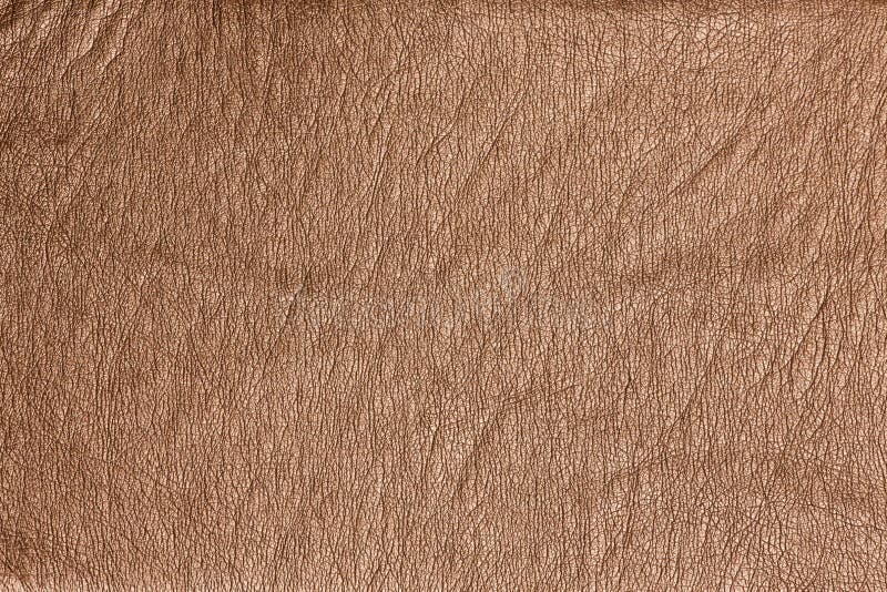 Leather Background Light Brown Stock Image - Image of blank, animal ...