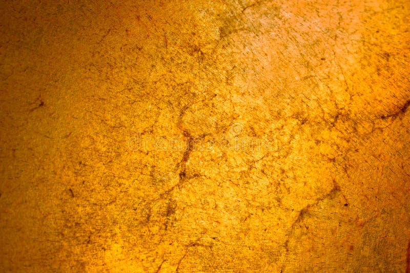 Leather backlight stock photo. Image of translucent, leather - 12059502