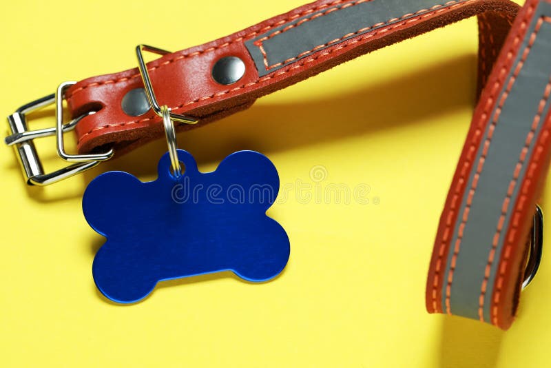 Leather Dog Collar with Blue Tag in Shape of Bone on Yellow Background ...